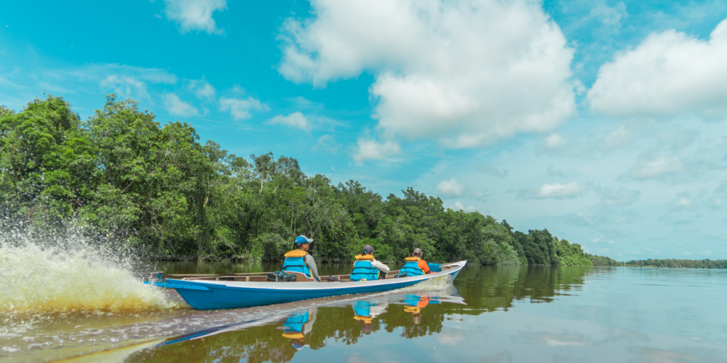 Tropical Ecology and Conservation in South East Asia - Permian Global