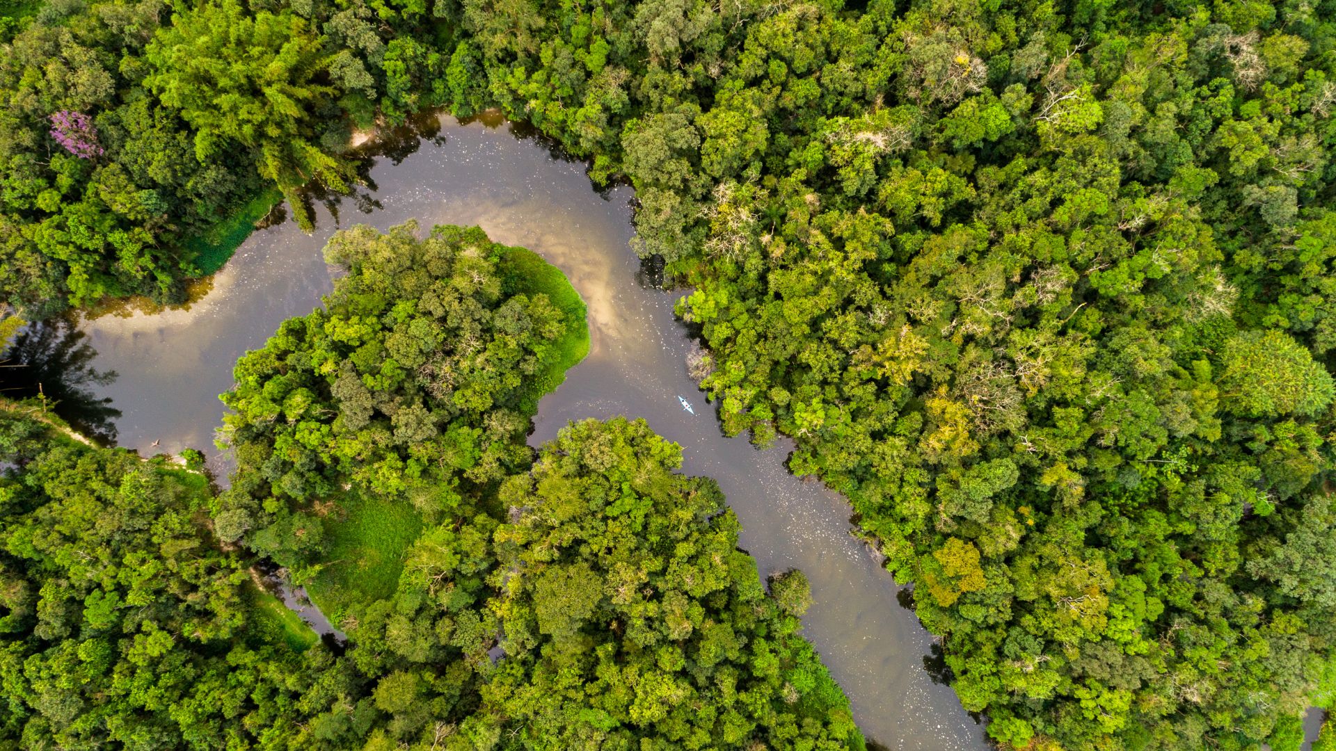 Educommunication in Forest Conservation Projects - Permian Global